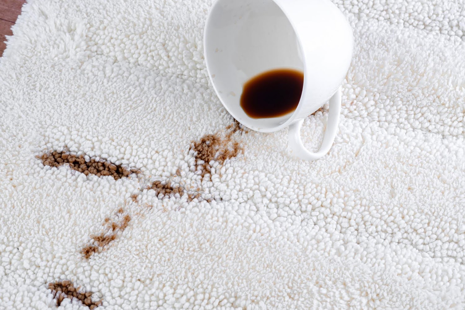 What Is Spot Cleaning And Steps To Do It Right [2025]